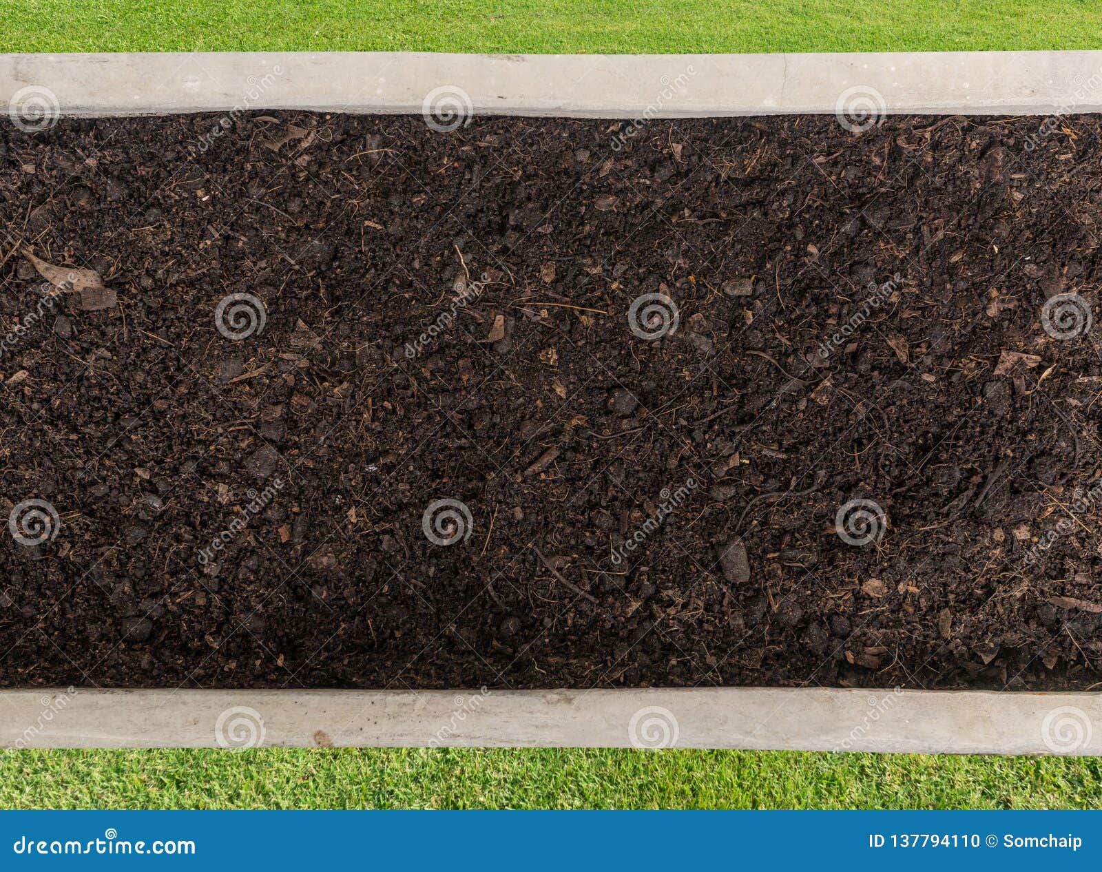 Soil Section with Grass Background Stock Photo - Image of green, seed ...