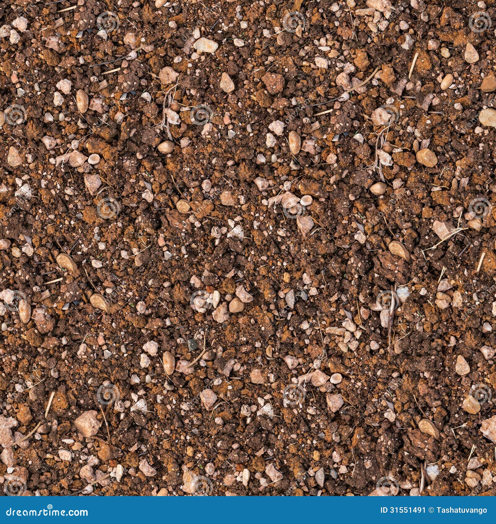 Soil with Small Stones. Seamless Texture. Stock Image - Image of wall ...