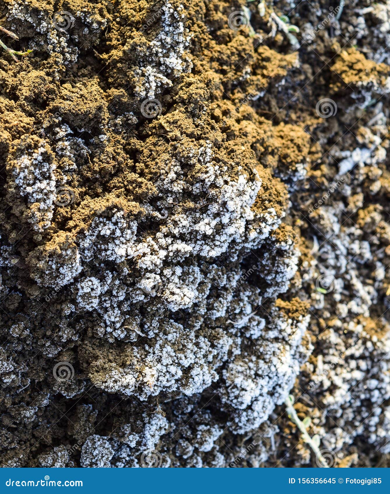 The Soil and Snow. Frozen . Background of the Soil and Snow Stock Image ...