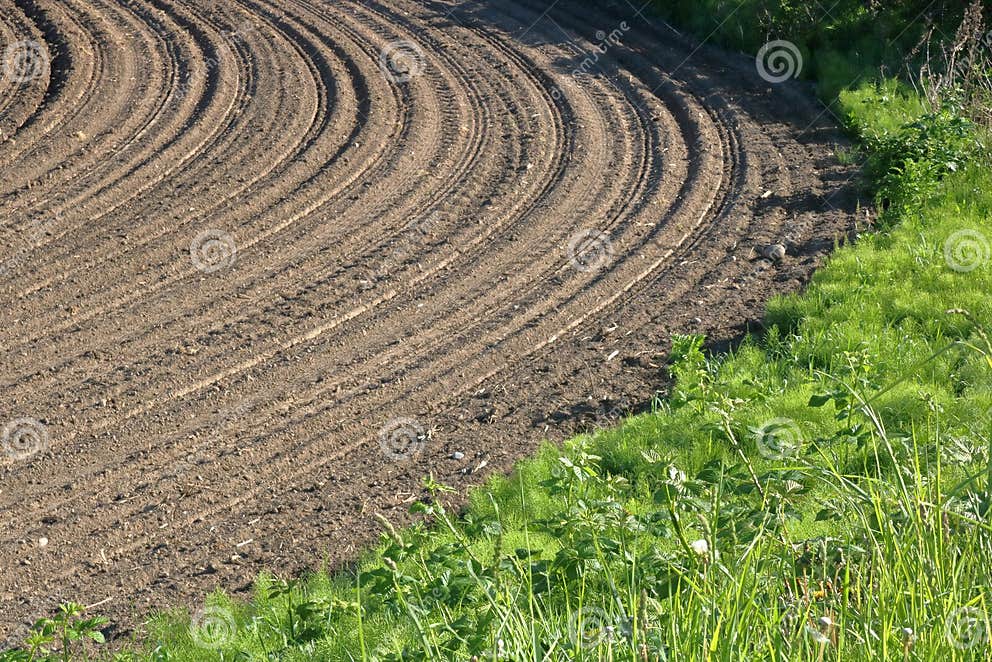 Soil and Spring Seeding stock image. Image of grooves - 324024875