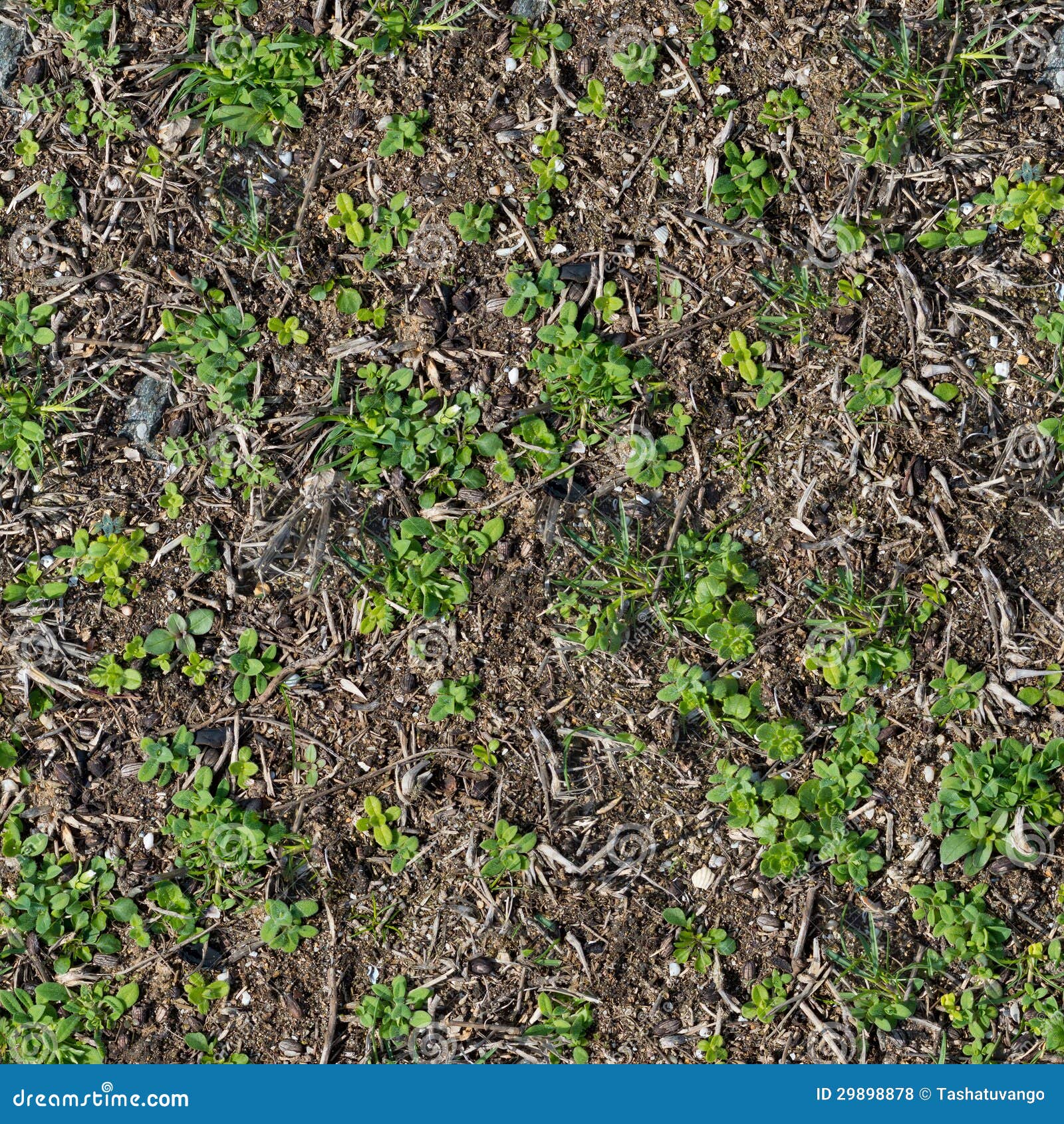 Soil Texture Seamless