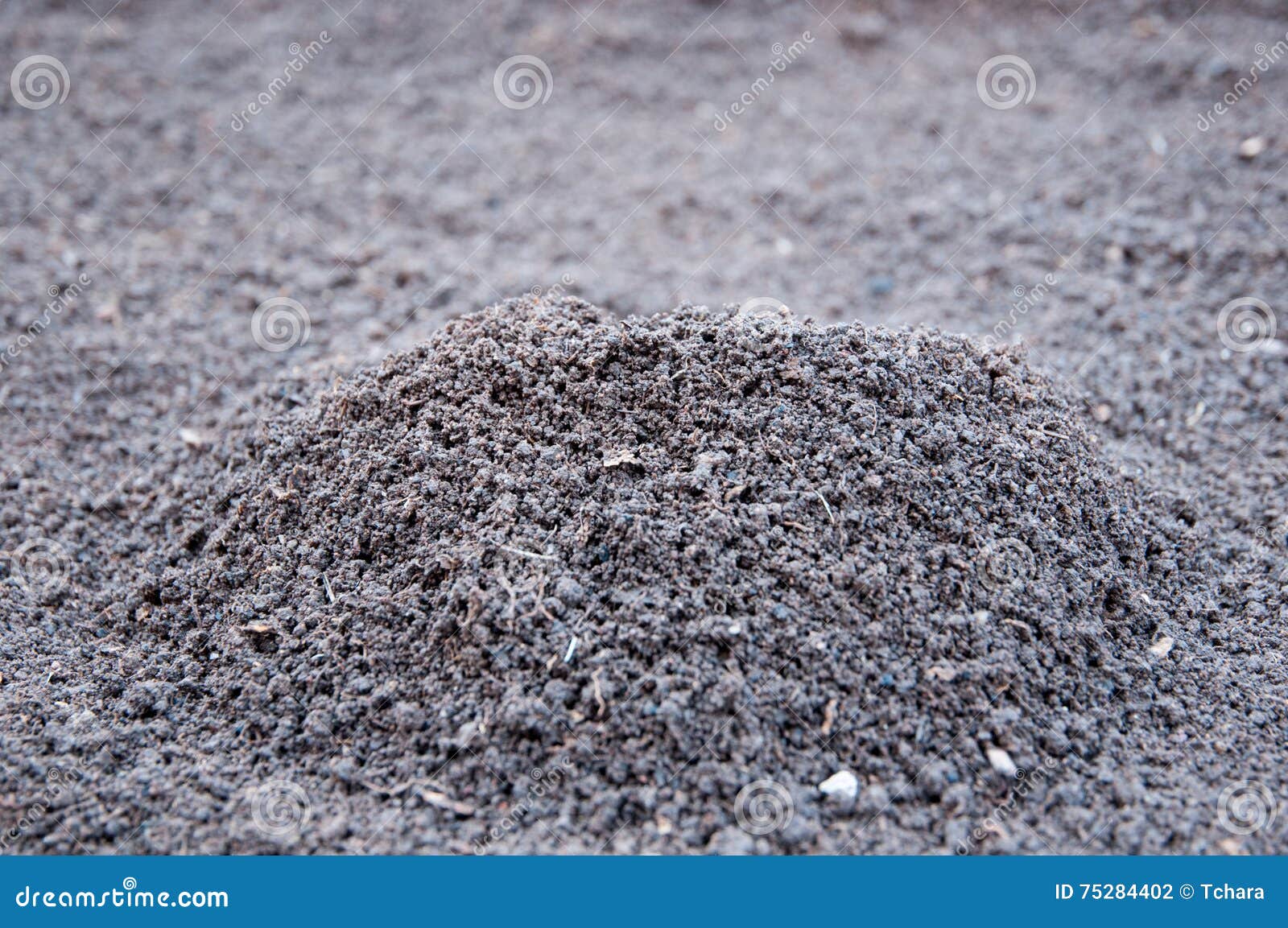 Soil stack stock photo. Image of pile, humus, focus, selective - 75284402
