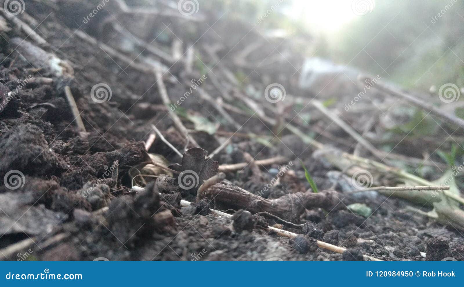 Soil and sticks stock photo. Image of soil, lots, sticks - 120984950