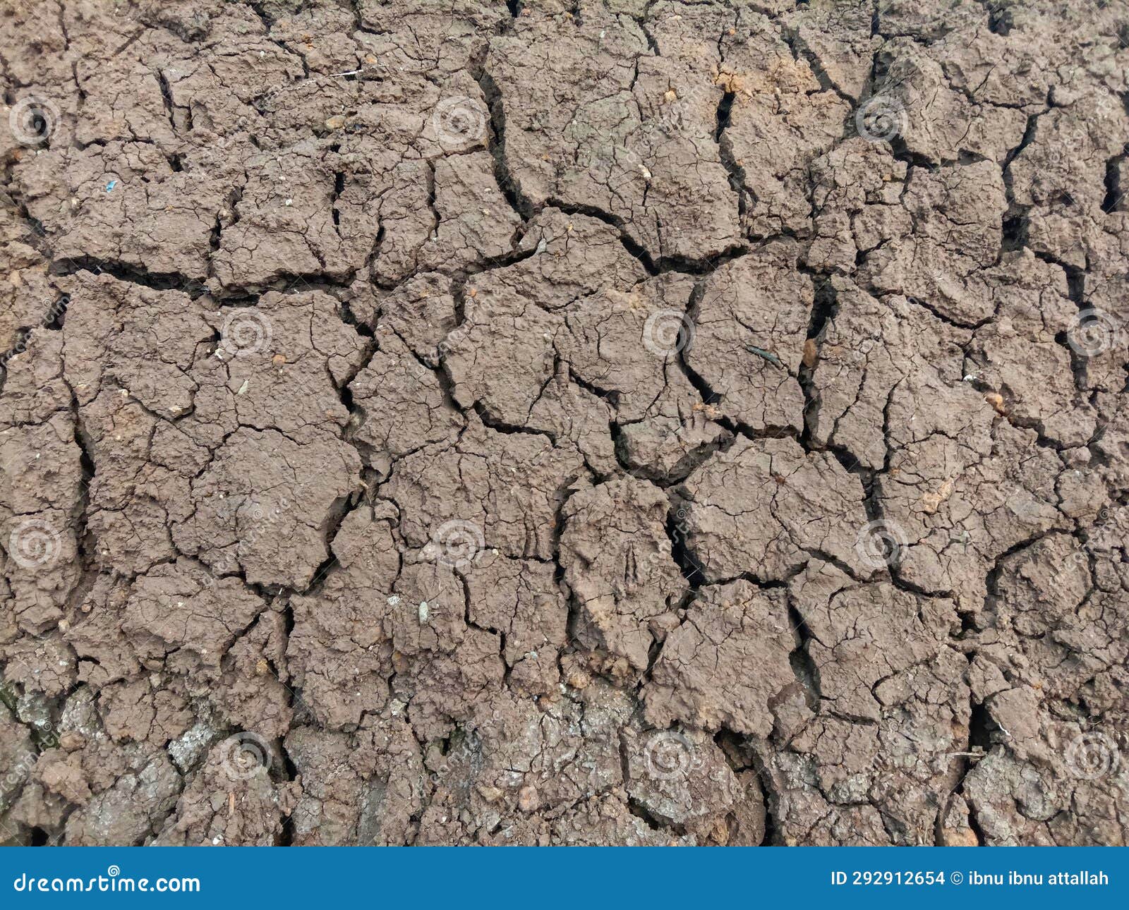 Soil Surface of Rice Fields in the Long Dry Season Stock Photo - Image ...