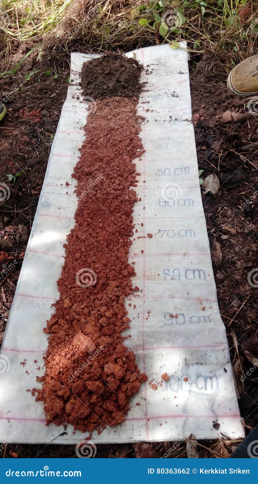 Soil stock photo. Image of soilprofile, soilfer, soilsci - 80363662