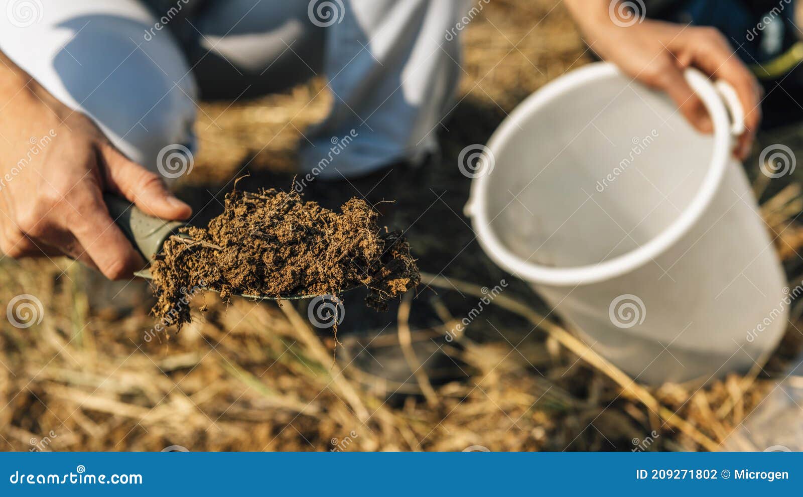 Soil Fertility Analysis. Female Agronomist Taking Soil Samples Stock ...