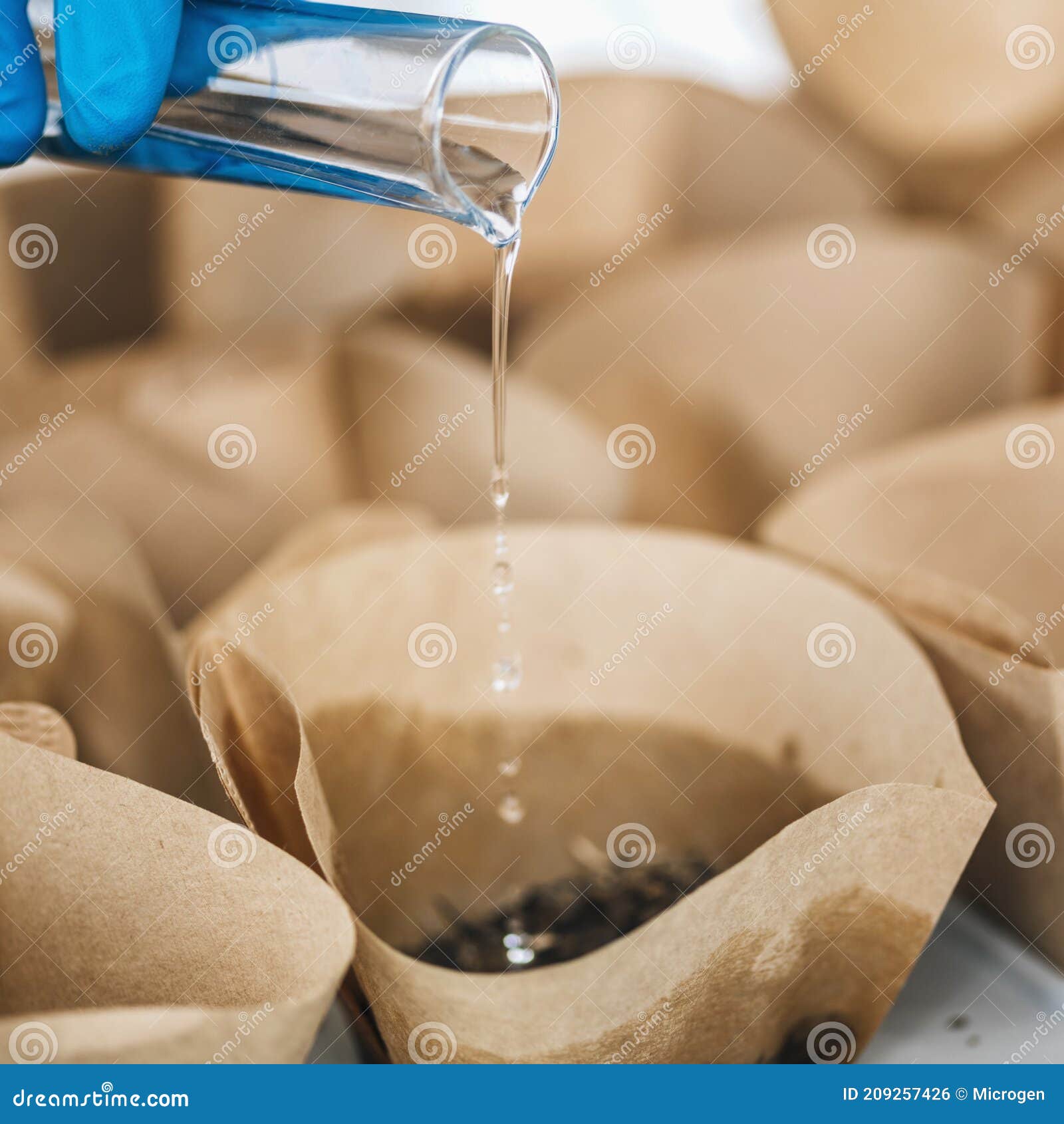 Soil Testing. Biologist Pouring Water into Containers with Soil Samples ...