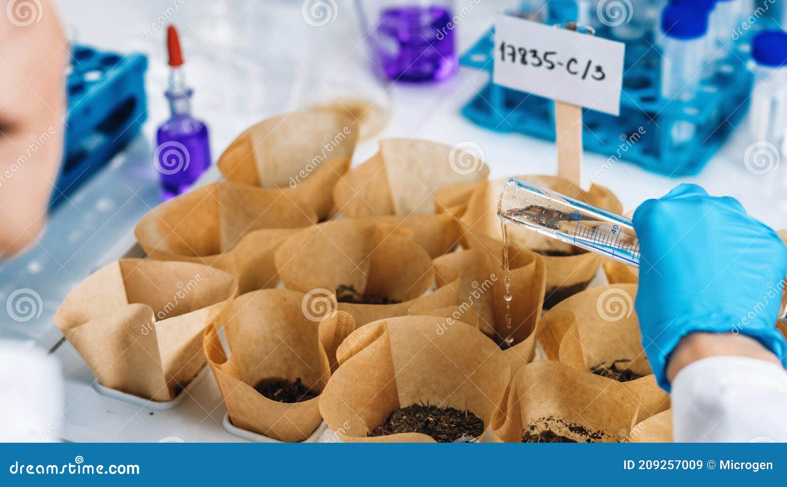 Soil Testing. Biologist Pouring Water into Containers with Soil Samples ...