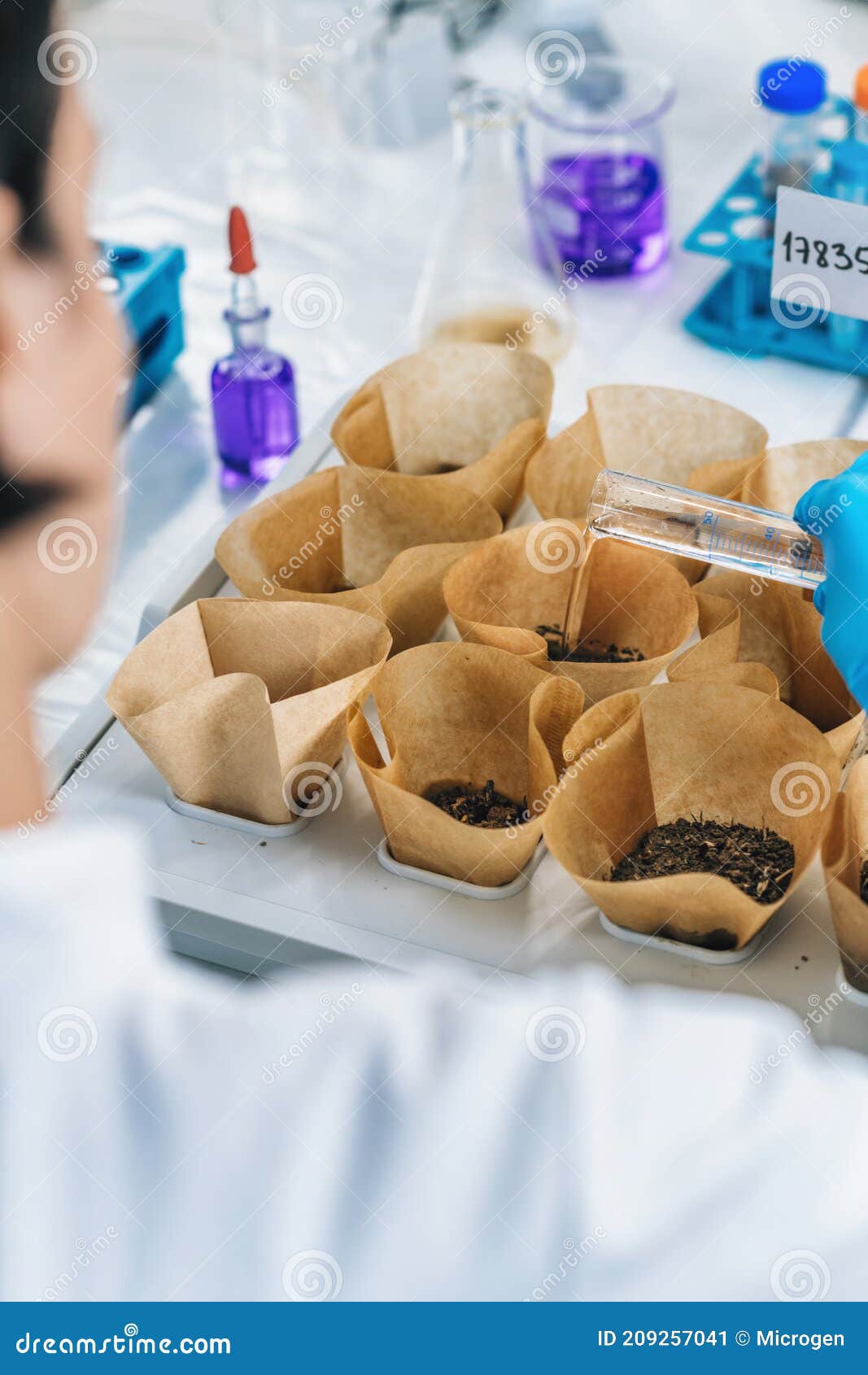 Soil Testing. Biologist Pouring Water into Containers with Soil Samples ...