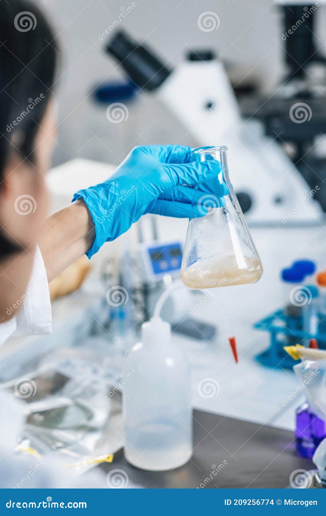 Soil Testing. Laboratory Analysis Stock Photo - Image of laboratory ...