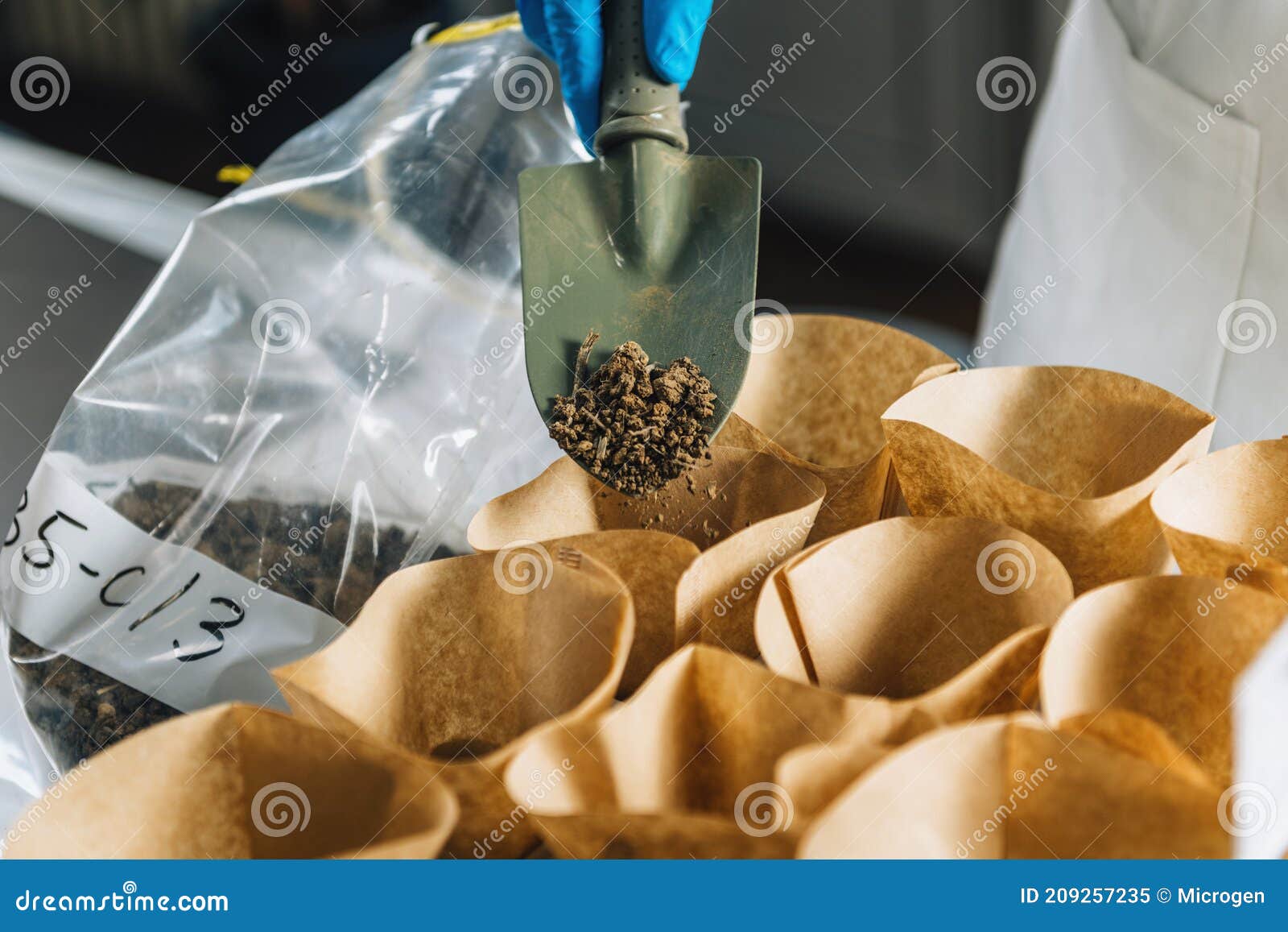 Soil Testing. Laboratory Process Stock Image - Image of ground ...