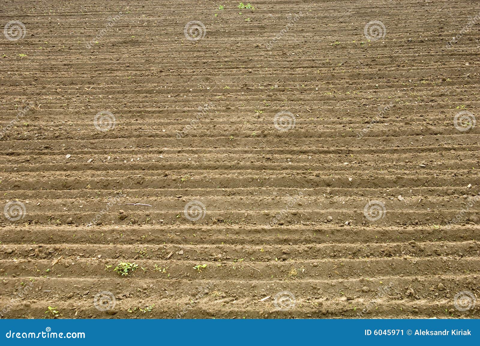Soil Texture Picture. Image: 6045971