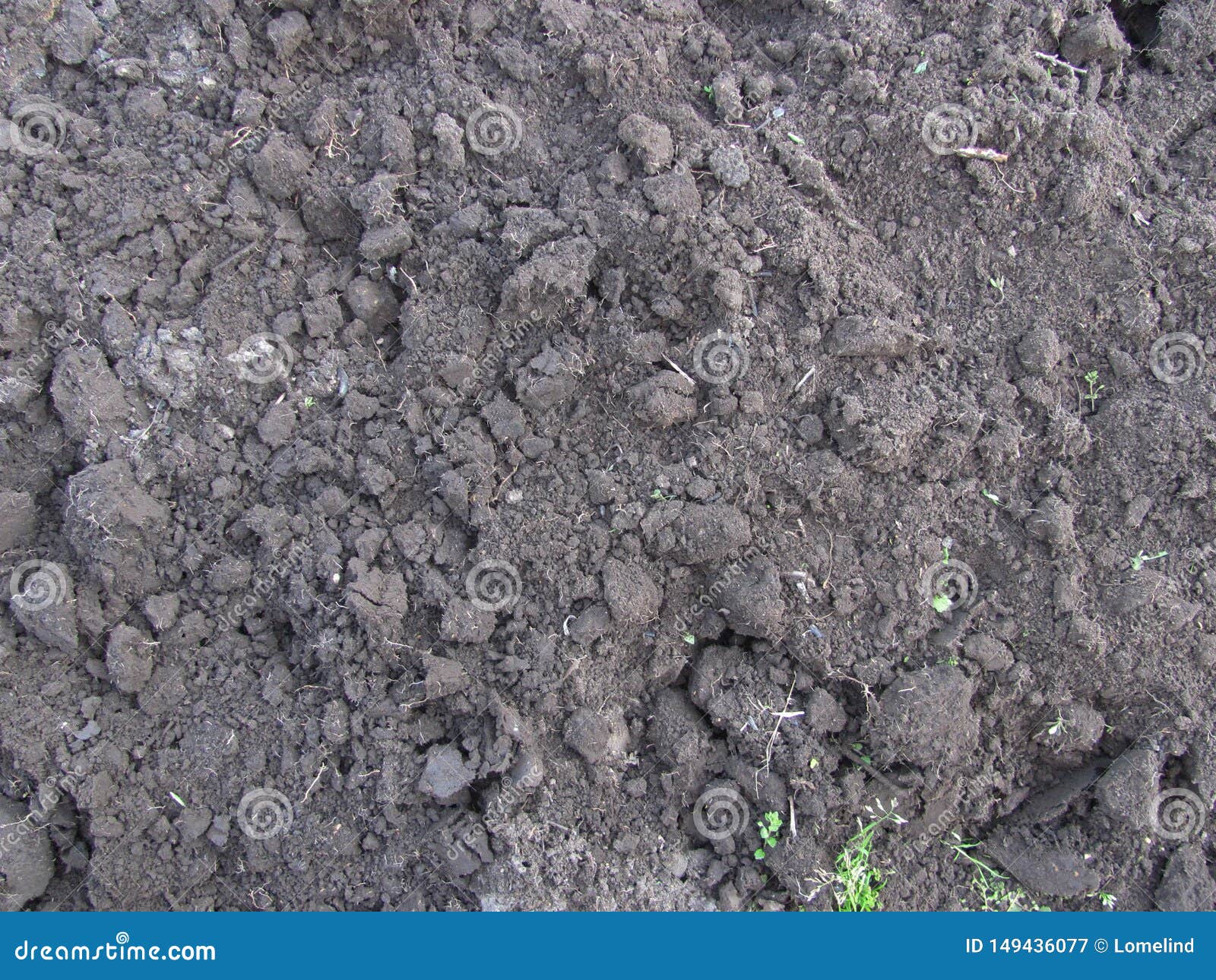 Soil texture background stock image. Image of farm, botany - 149436077