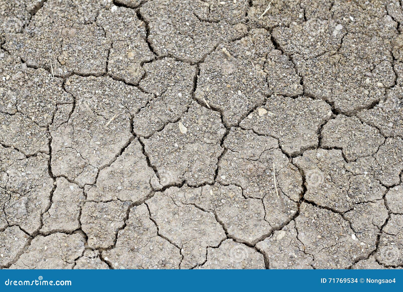 Soil texture stock photo. Image of cultivated, grunge - 71769534