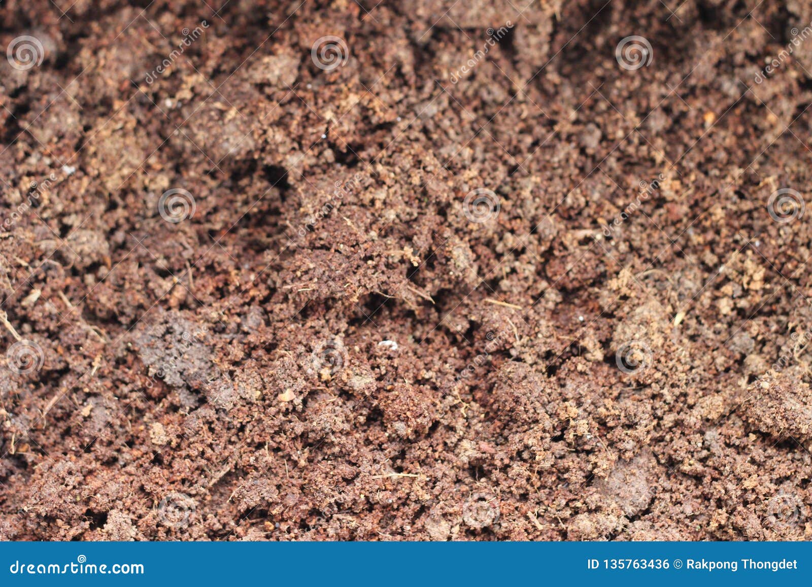 Soil texture background stock photo. Image of gardening - 135763436