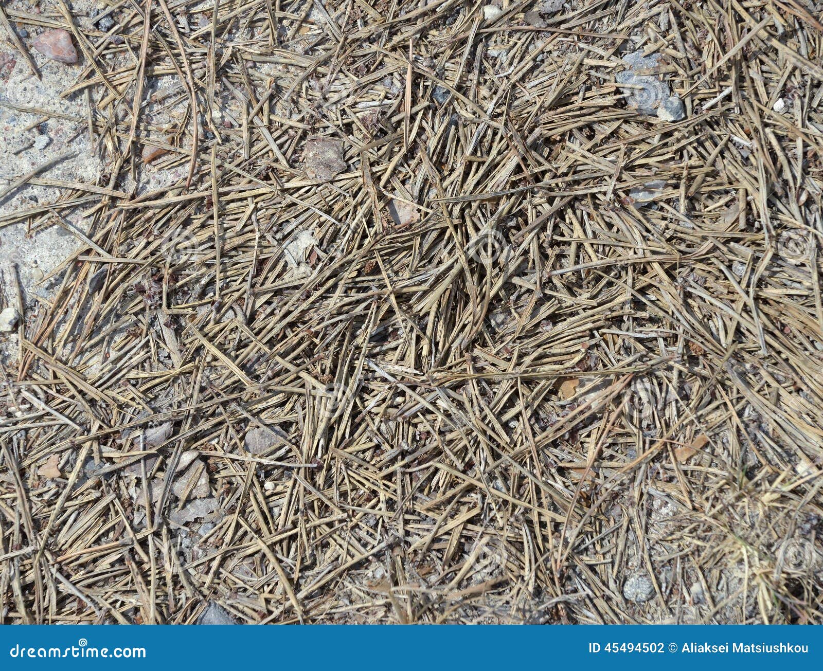 Soil Texture, Brown Ground Soil Mixed with Small Rocks Stock Photo ...