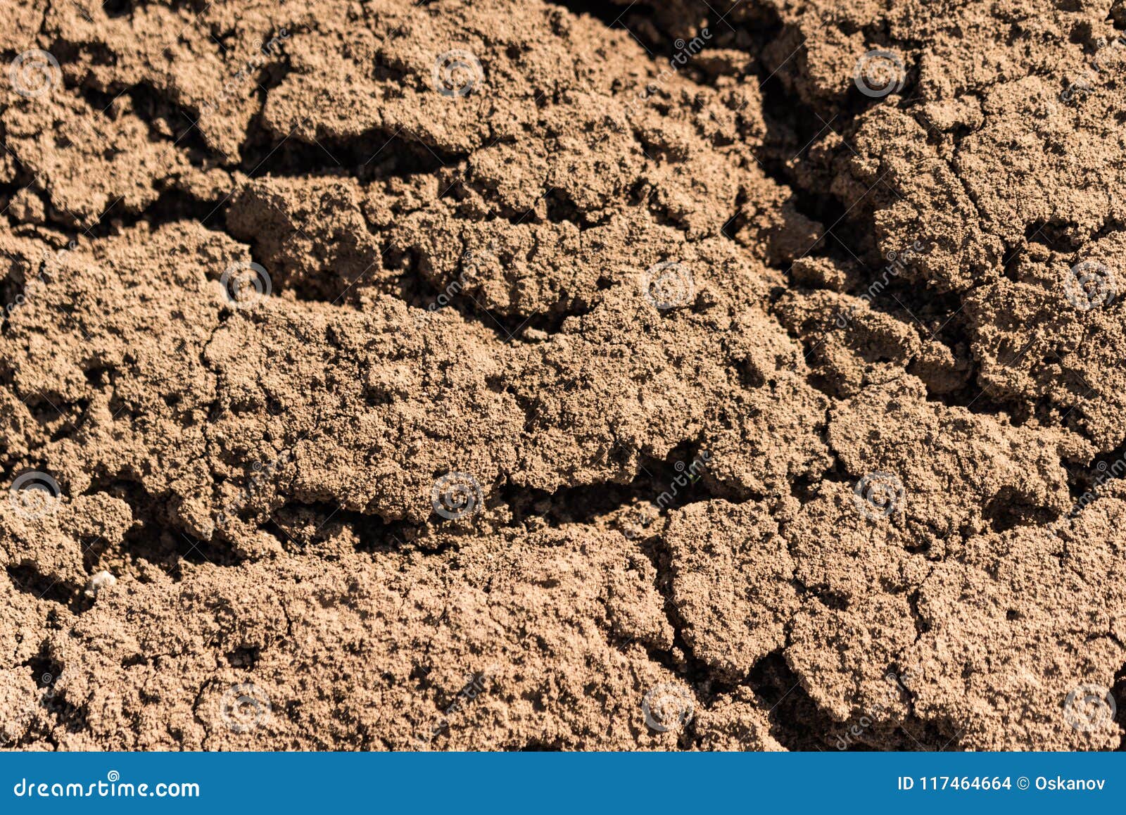 Soil texture close-up stock photo. Image of brown, actions - 117464664