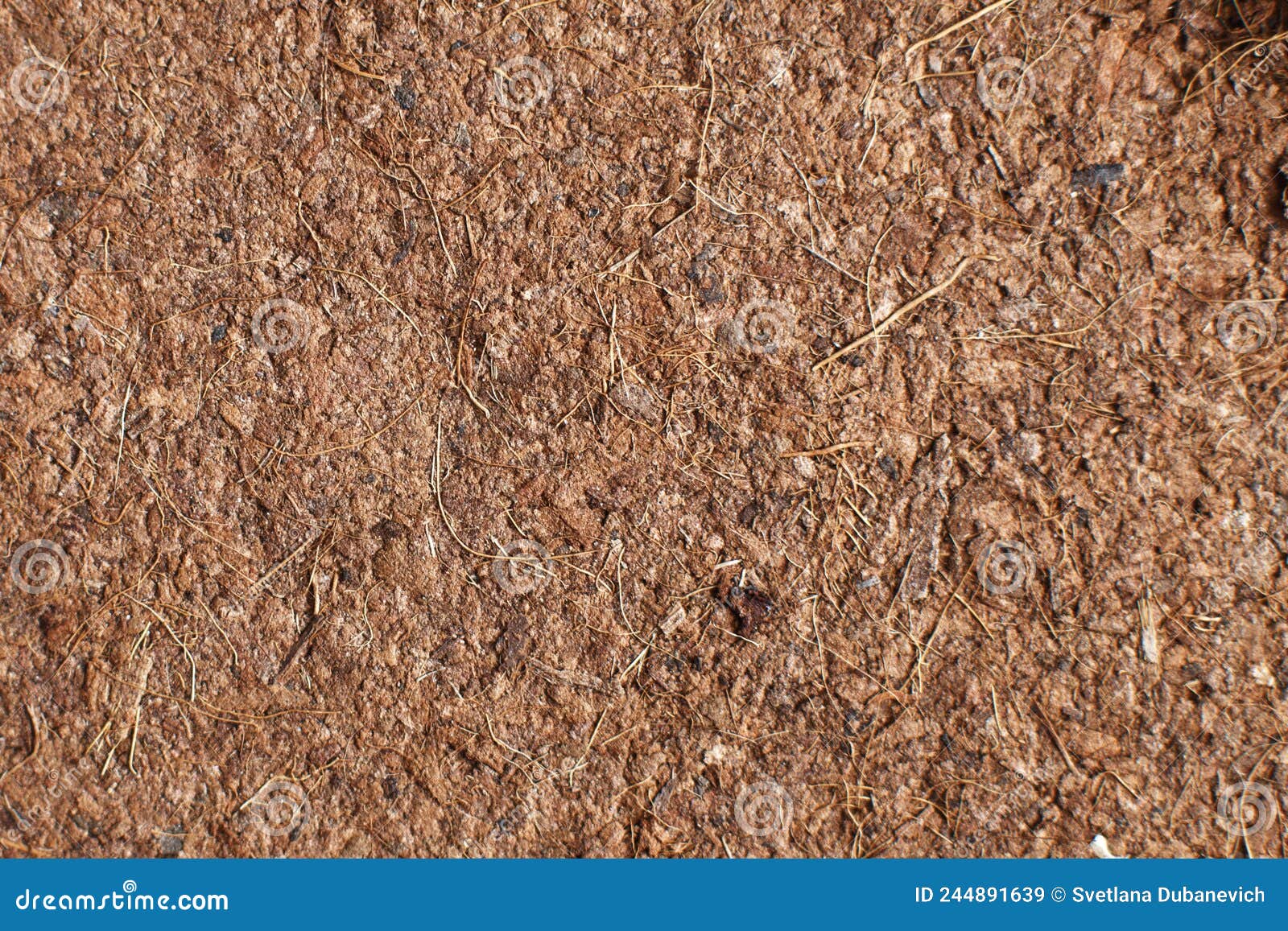 Soil Texture Close Up. Ground Nature Background Stock Image - Image of ...