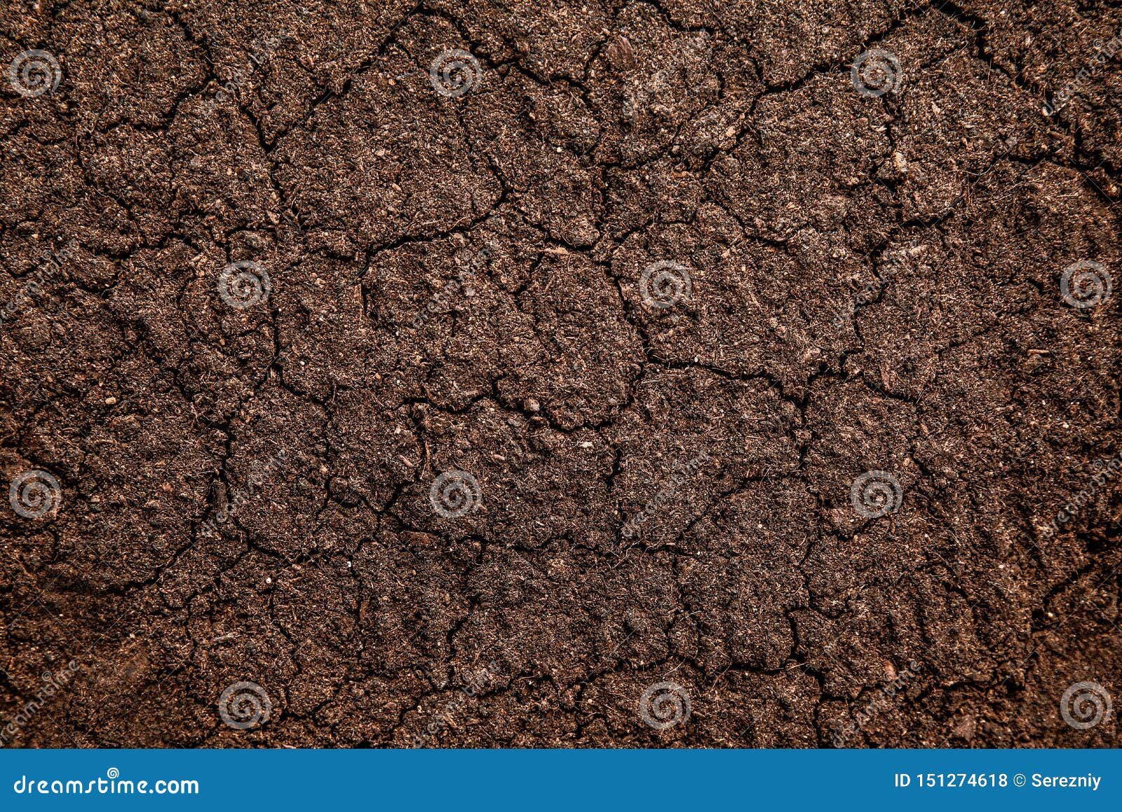 Soil texture, closeup stock photo. Image of texture - 151274618