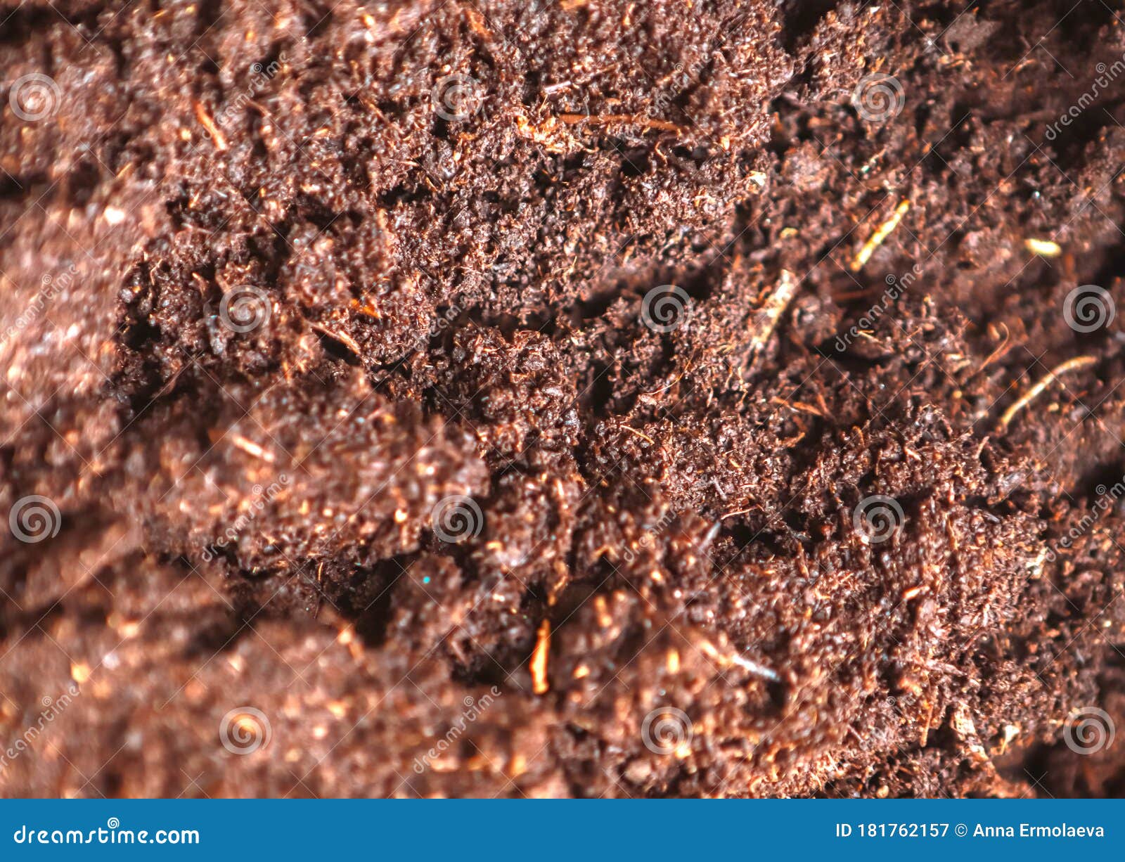 Soil Texture.Humus. Celective Focus, Close Up Stock Image - Image of ...
