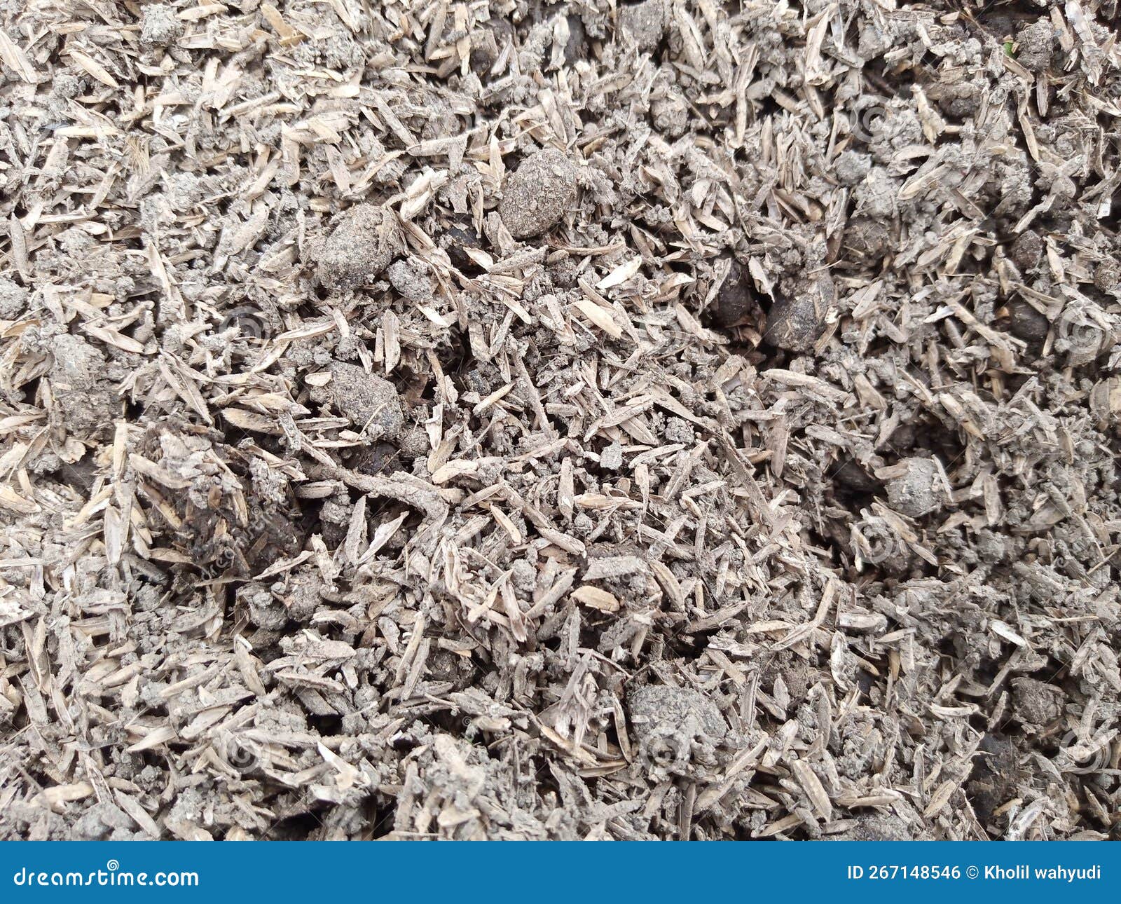 Soil Texture Mixed with Manure and Compost for Planting Media. Stock ...