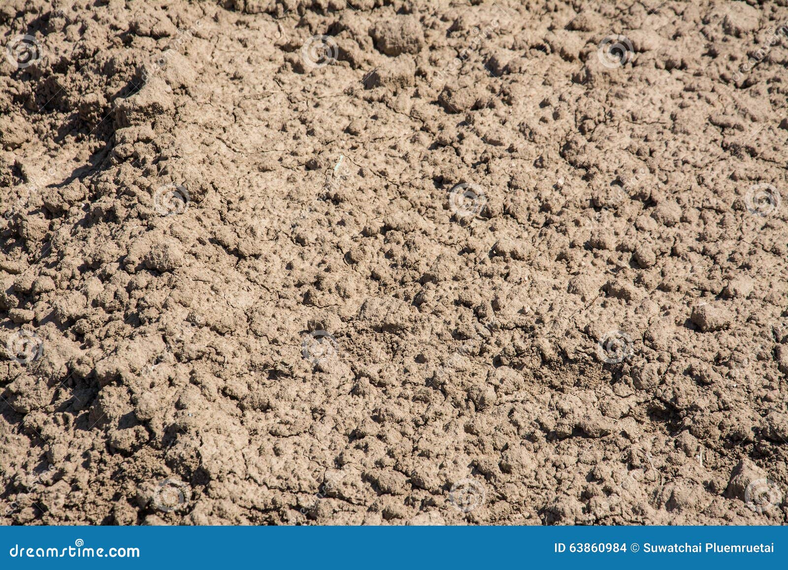 Soil texture stock photo. Image of view, texture, closeup - 63860984