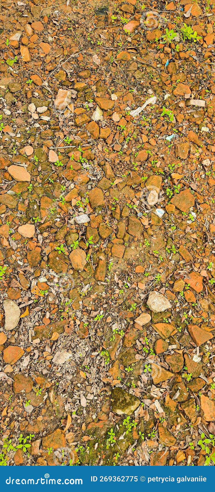 Soil Texture with Rocks and a Bit of Grass Stock Image - Image of rock ...