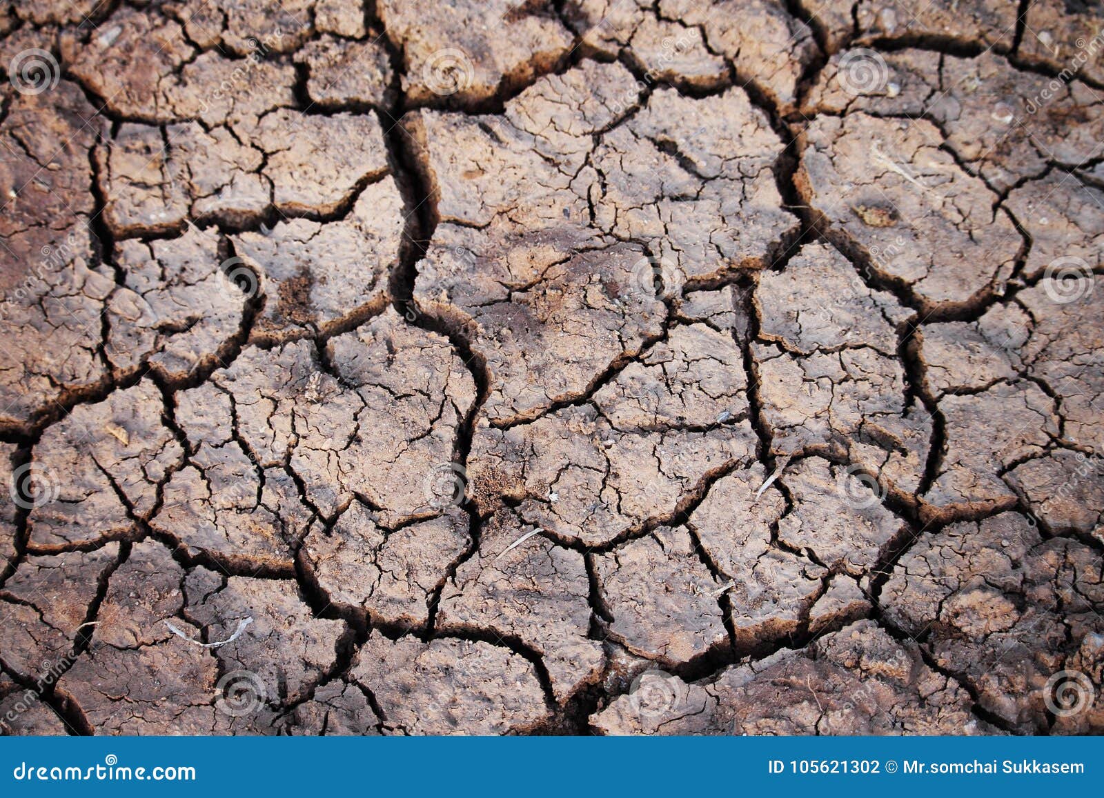 Soil Textures; Dry Soil Texture Stock Photography | CartoonDealer.com ...