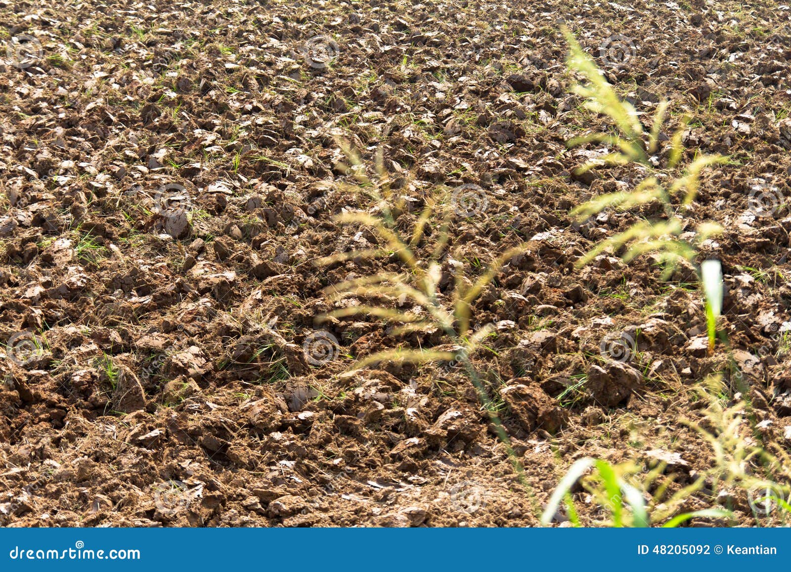 Soil tillage grass stock photo. Image of countryside - 48205092