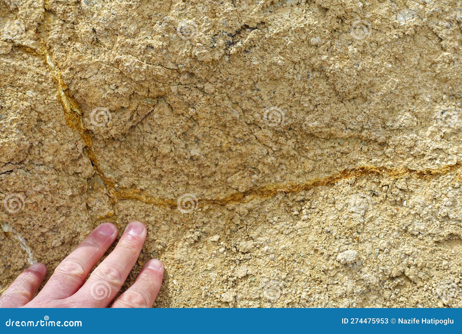 Soil Types-yellow Soil Type, Sandy and Hard Rock Yellow Soil, Soil ... Soil Types-yellow Soil Type, Sandy and Hard Rock Yellow Soil, Soil ...