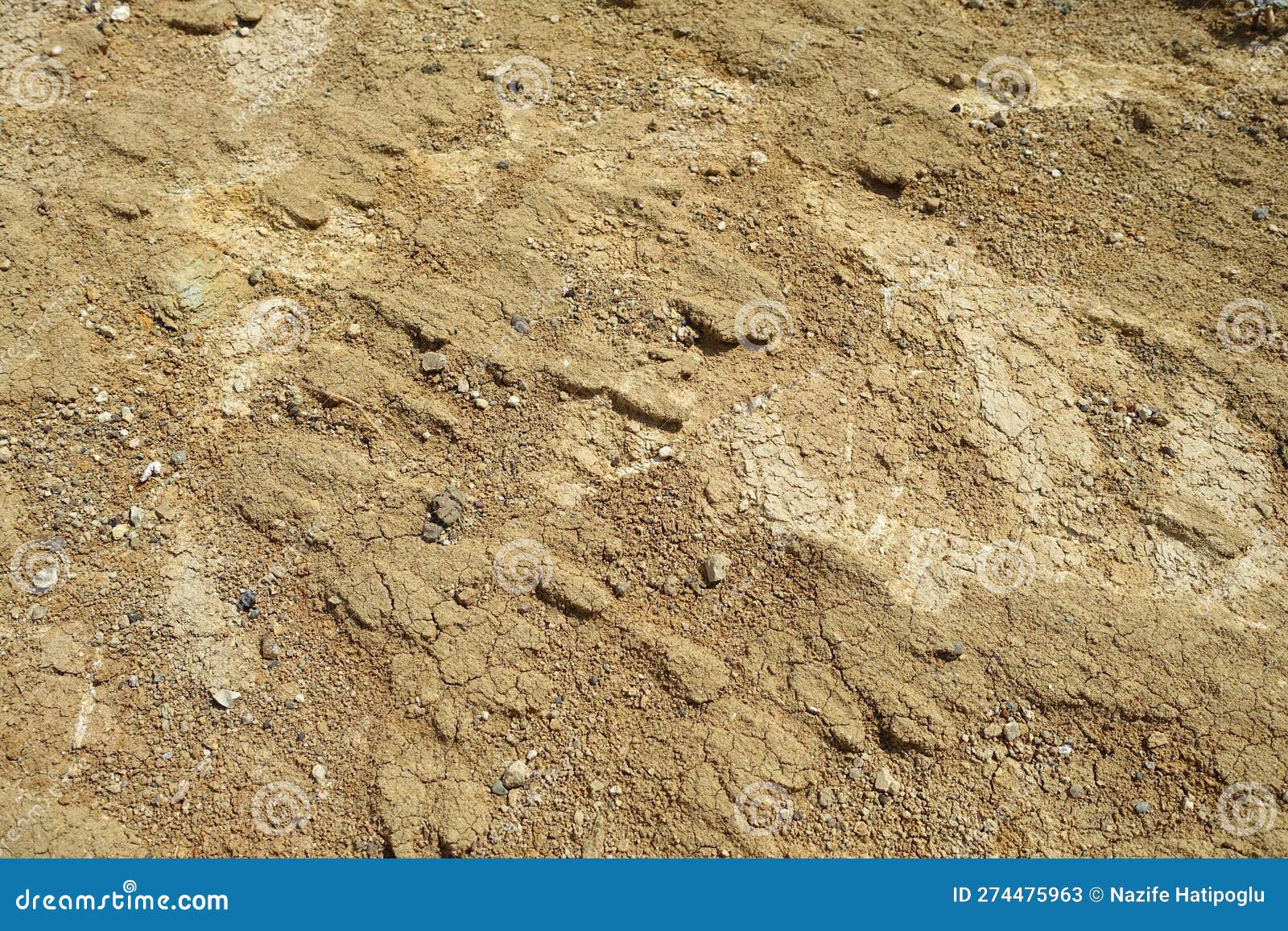 Soil Types-yellow Soil Type, Sandy and Hard Rock Yellow Soil, Soil ... Soil Types-yellow Soil Type, Sandy and Hard Rock Yellow Soil, Soil ...