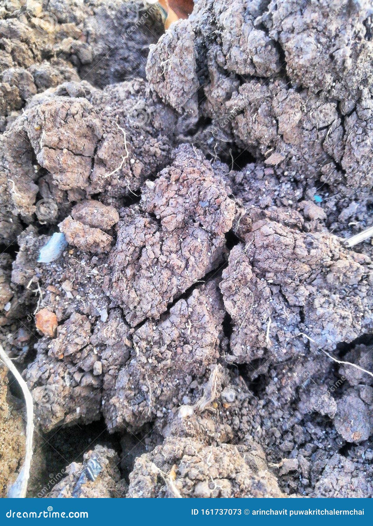 The soil wallpaper. stock image. Image of wallpaper - 161737073