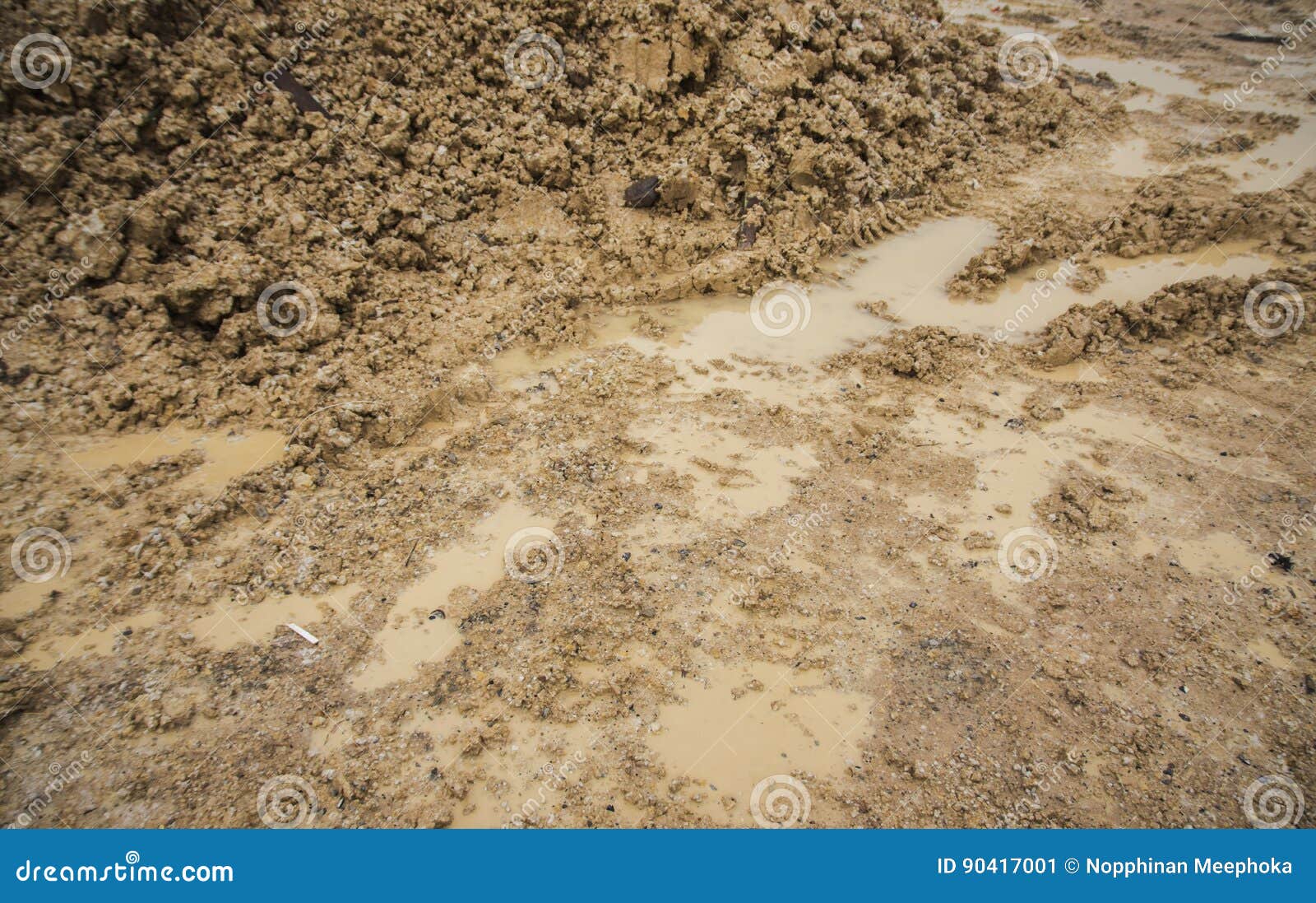 The Soil Was Wet after Rain Stock Image - Image of horizontal, nature ...