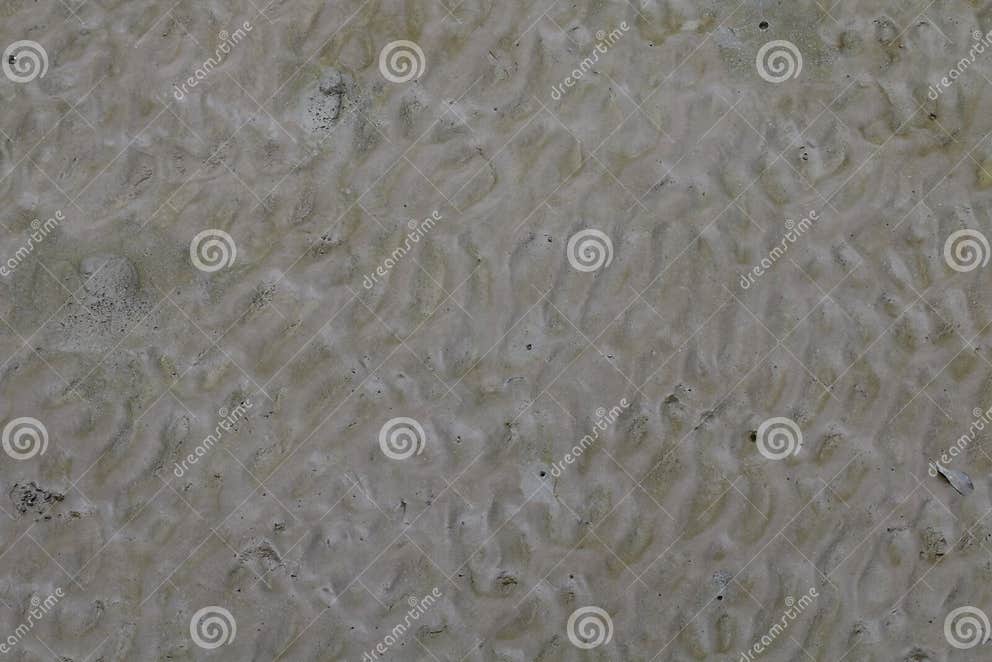 Mud of Mangrove Forest for Background Texture Soil Wet Stock Photo ...