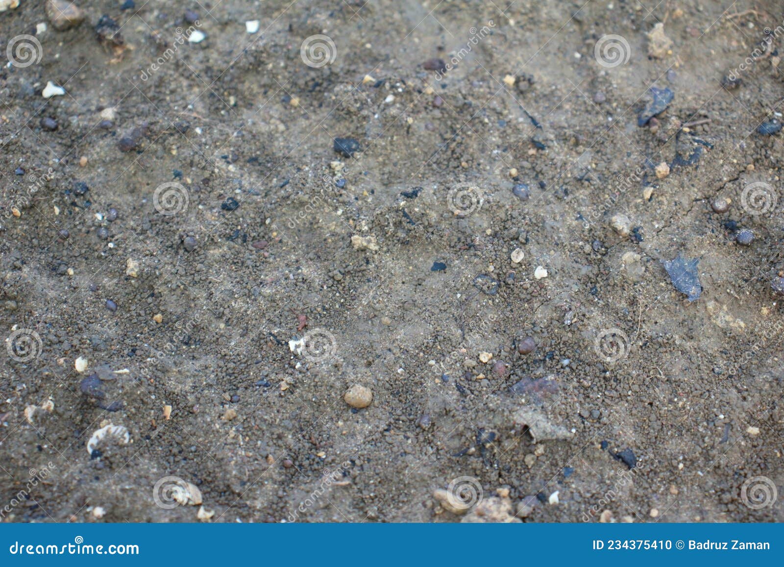 Soil Wet from Rain stock photo. Image of growth, countryside - 234375410