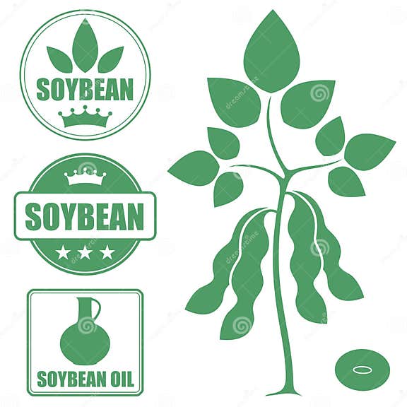 Soja ilustración del vector. Ilustración de icono, hoja - 48776847