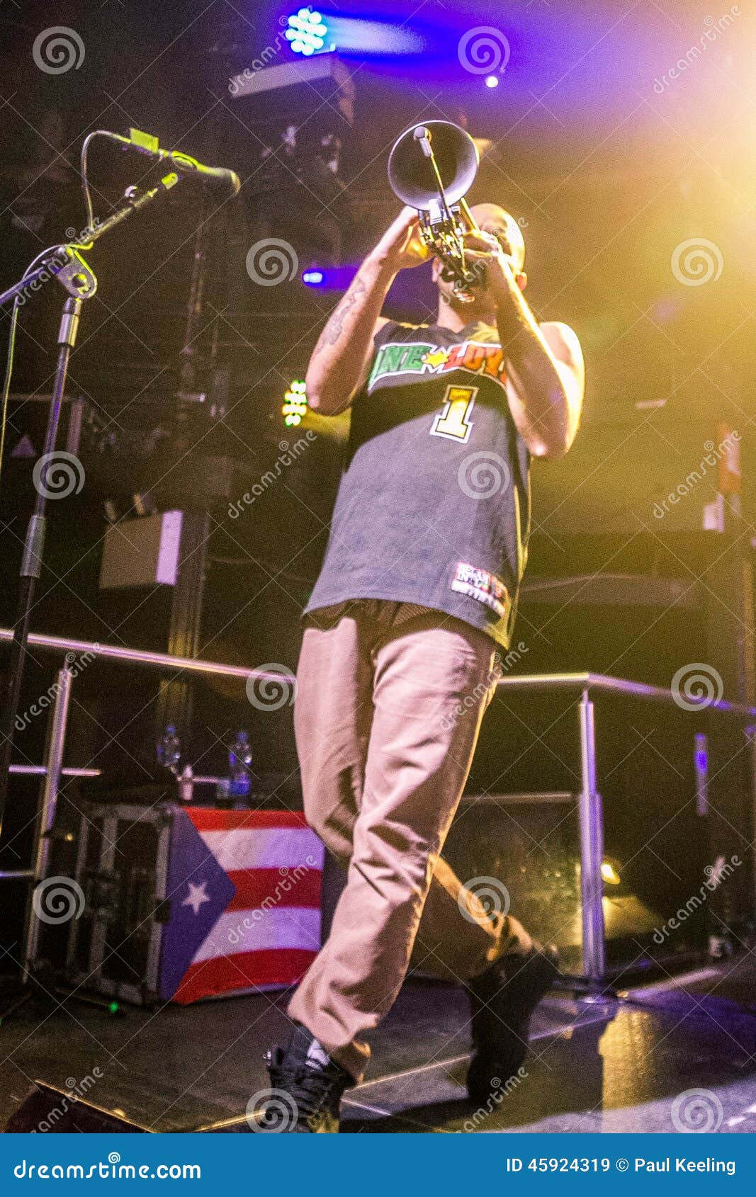 Soja editorial stock image. Image of music, reggae, guitar - 45924319