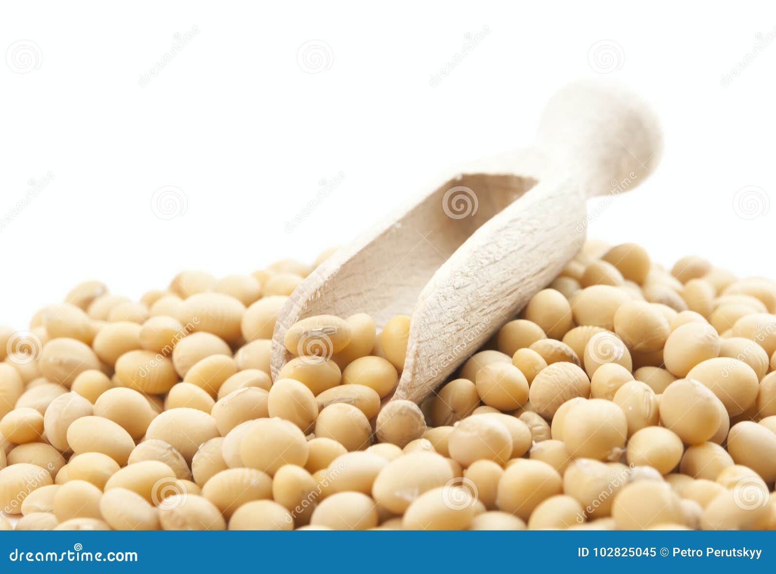 Sojabonen stock afbeelding. Image of volledig, ingrediënt - 102825045