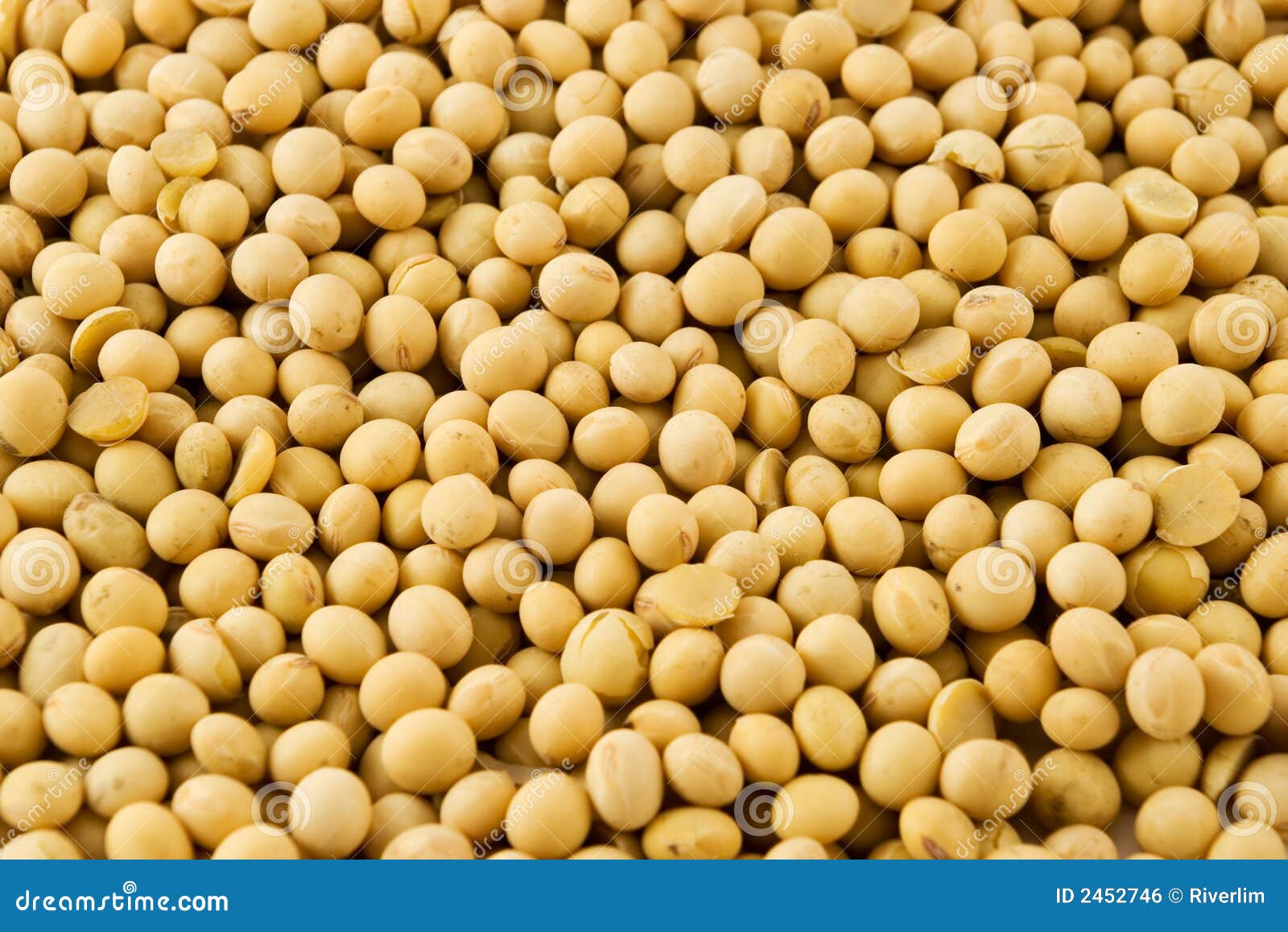 Sojabonen stock foto. Image of tofu, massa, voedzaam, gebied - 2452746