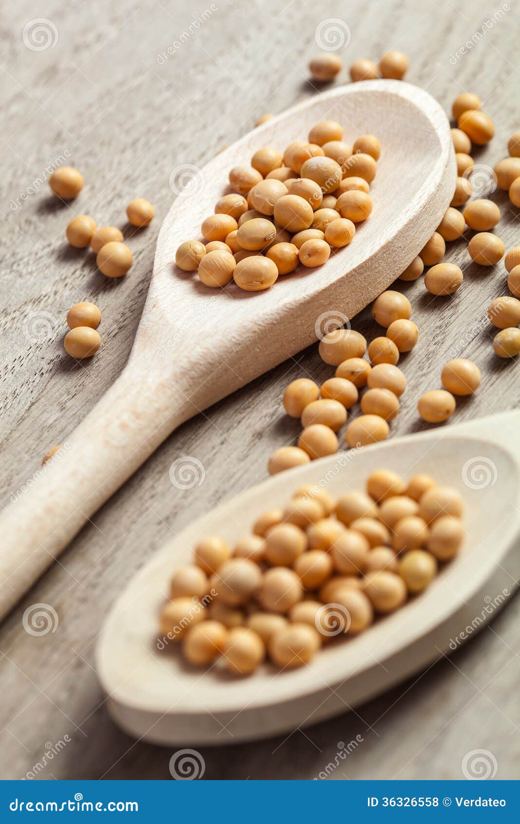 Sojabonen stock foto. Image of ingrediënt, bonen, sojaboon - 36326558