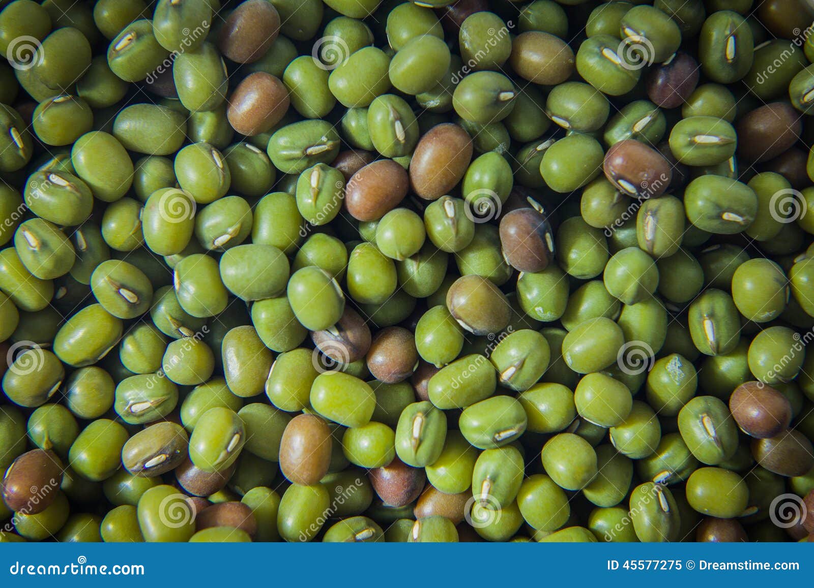 Sojabonen stock afbeelding. Image of naughty, vegetariër - 45577275