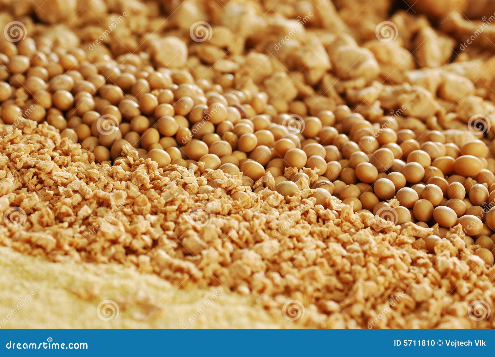 Sojabonen stock foto. Image of materiaal, geschikt, middel - 5711810