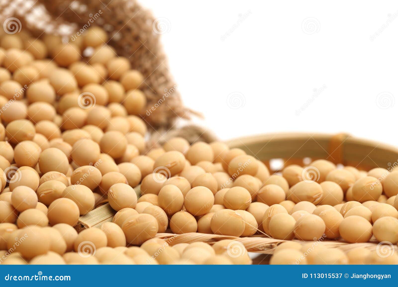 Sojaboon stock afbeelding. Image of geïsoleerd, gezondheid - 113015537