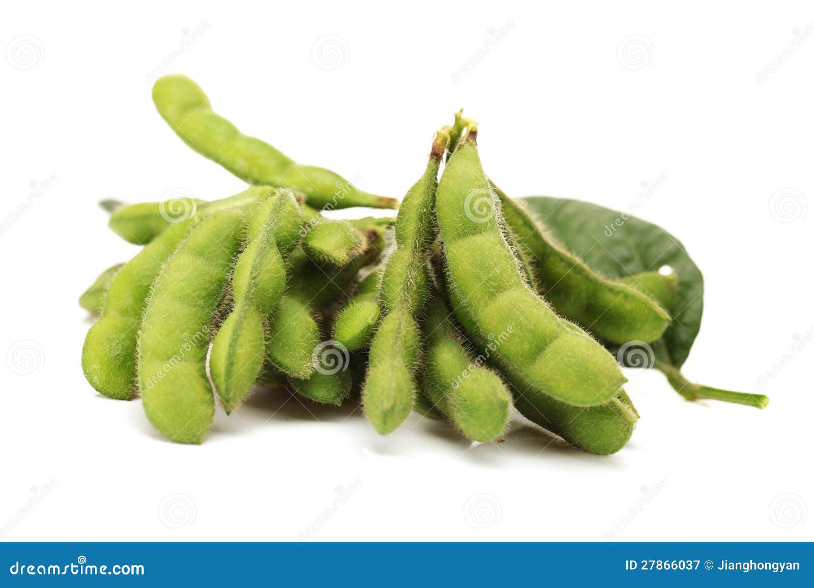 Sojaboon stock afbeelding. Image of tuin, keuken, landbouw - 27866037
