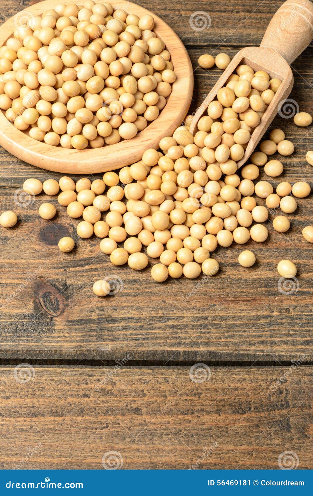 Sojaboon stock afbeelding. Image of proteïne, zomer, gebied - 56469181