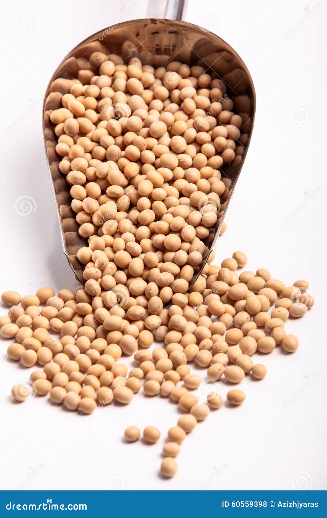 Sojaboon stock foto. Image of sojabonen, dieet, wagon - 60559398