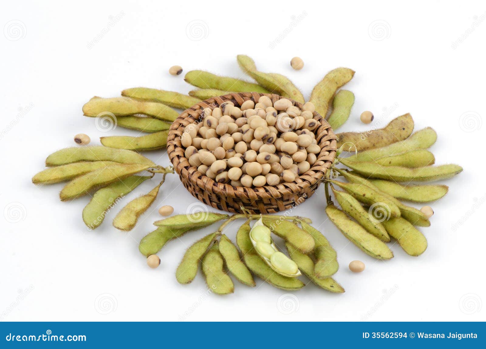 Sojaboon (Glycine Maximum Merrill (van L.)) Stock Foto - Image of hoop ...