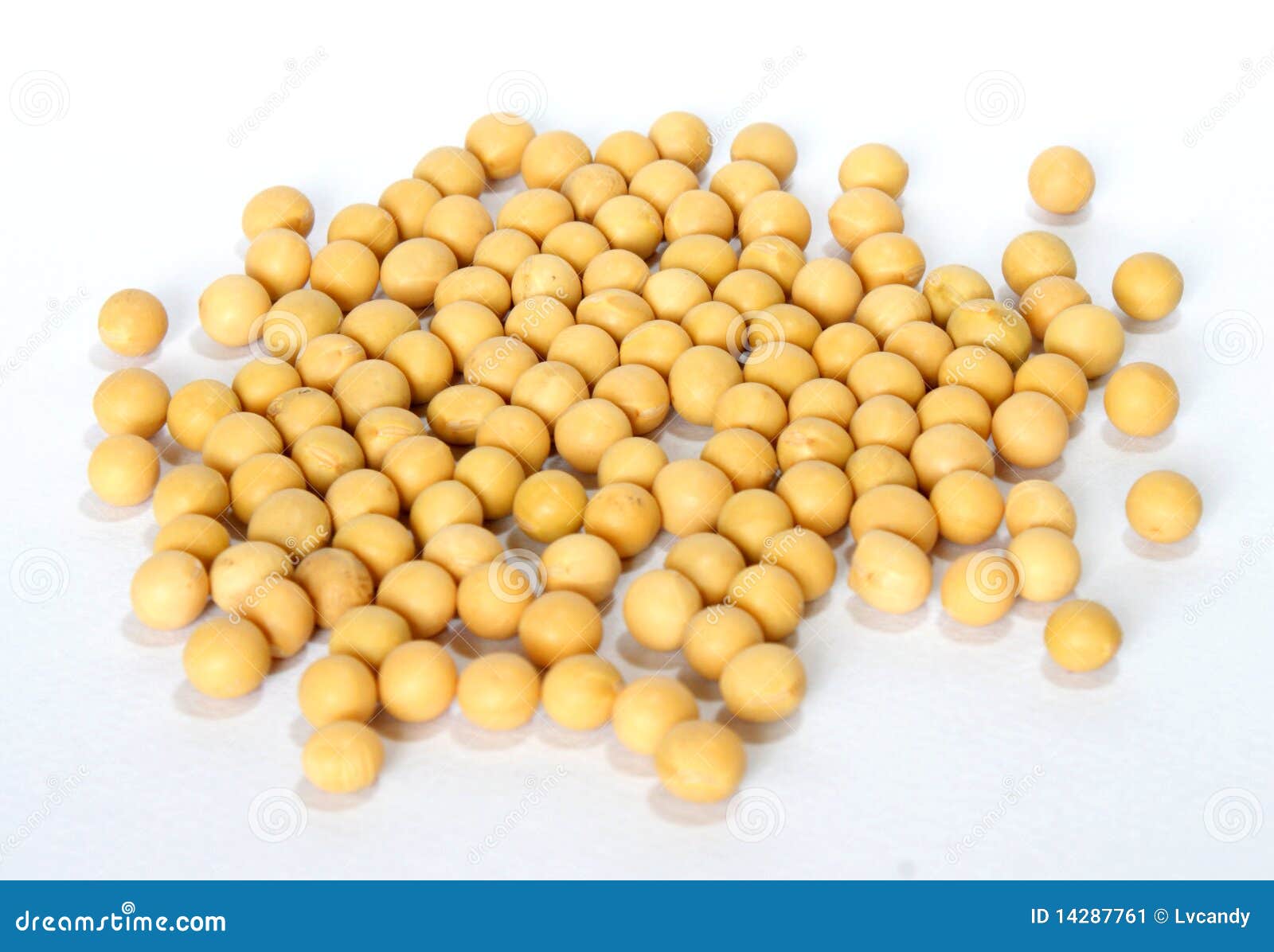 Sojaboon stock illustratie. Illustration of white, soya - 14287761