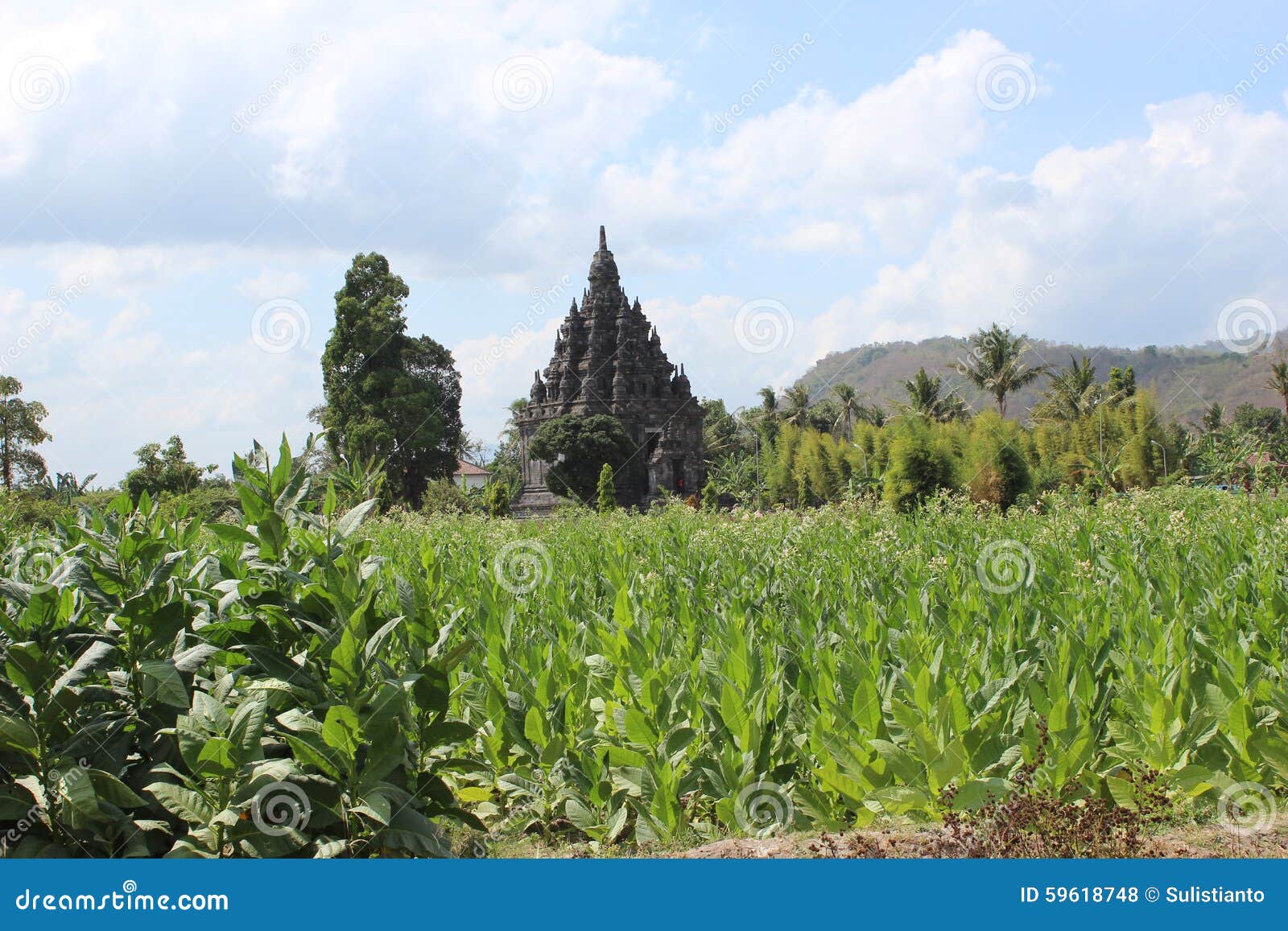 Sojiwan temple stock photo. Image of indonesia, sojiwan - 59618748