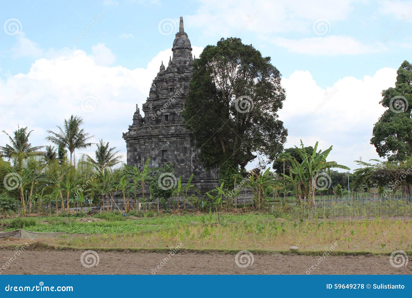 Sojiwan temple stock photo. Image of tree, sojiwan, structure - 59649278